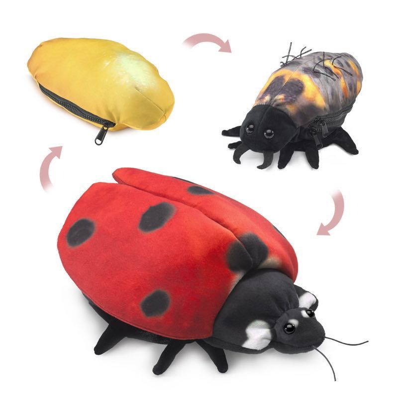 Folkmanis Puppets - Lady Bug Life Cycle | Knock On Wood Toys